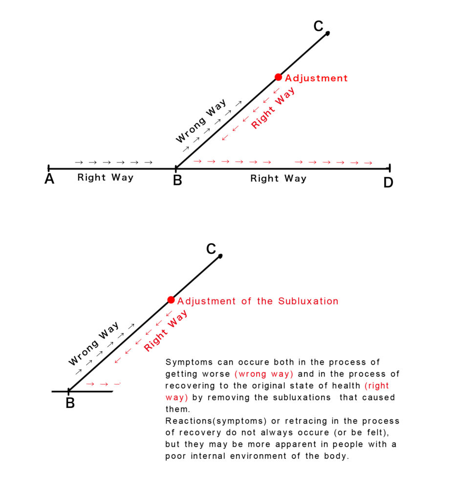What Happens After The Adjustment? | Japan Specific Chiropractic ...